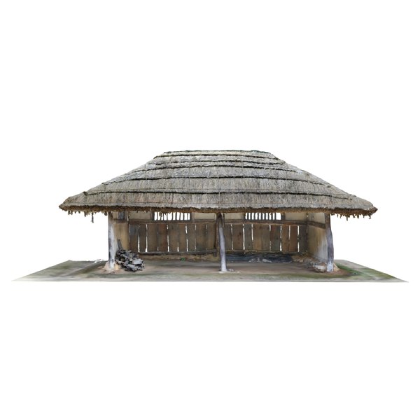 3D model Thatched Roof House - TurboSquid 2020621