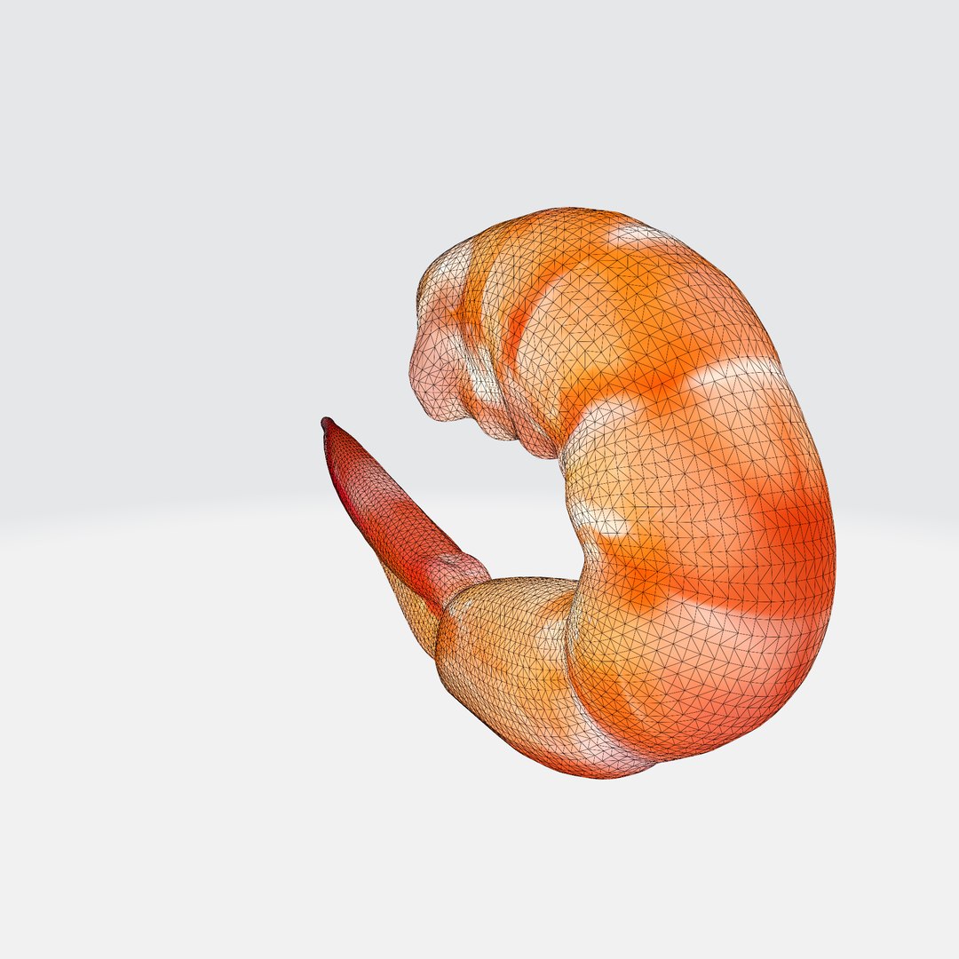 Shrimp 3D Model - TurboSquid 2270979