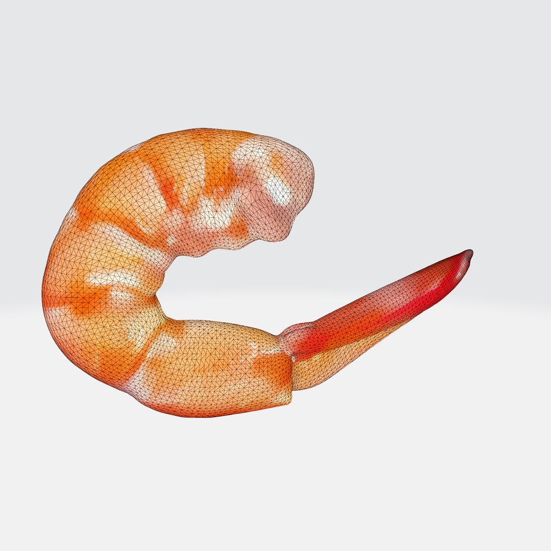 Shrimp 3D Model - TurboSquid 2270979