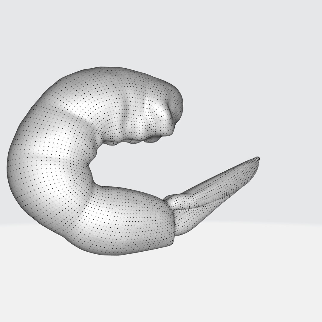 Shrimp 3D Model - TurboSquid 2270979