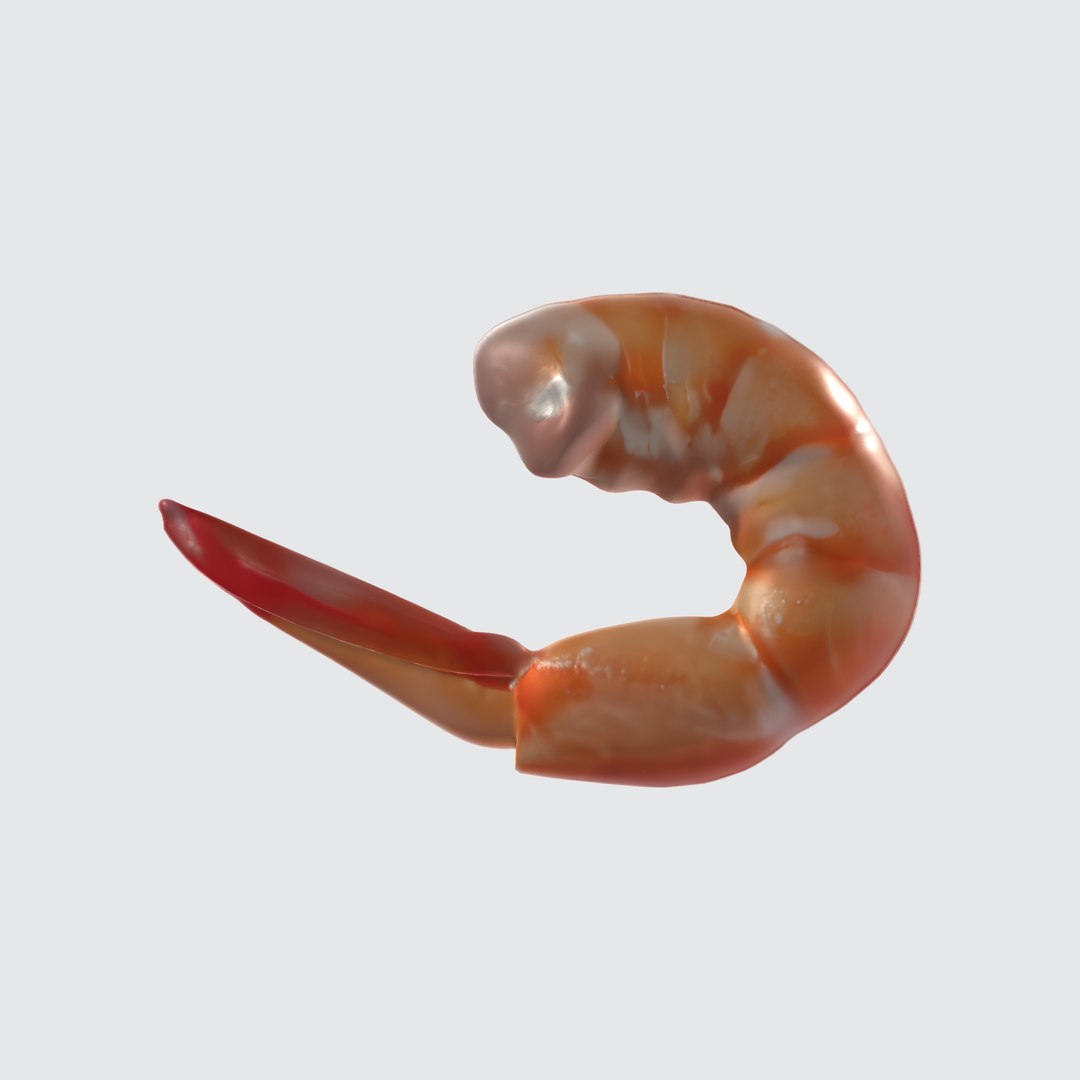 Shrimp 3D Model - TurboSquid 2270979
