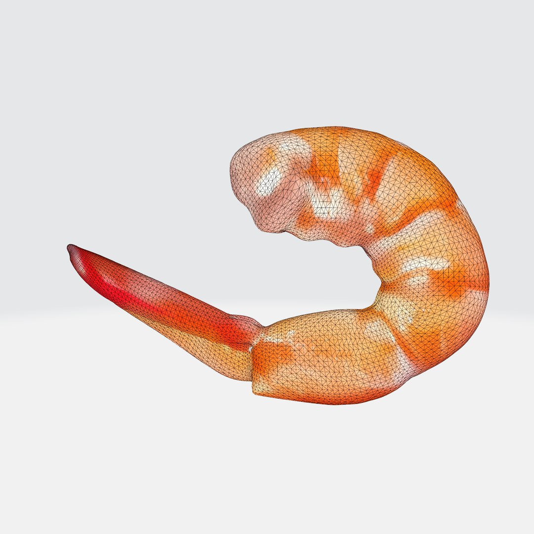Shrimp 3D Model - TurboSquid 2270979