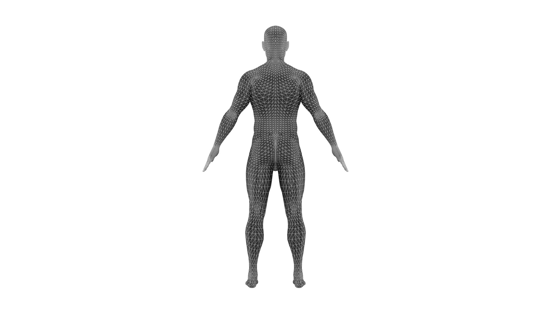 Human Body 3D Model - Realistic Human Intestines Anatomy 3D Model ...
