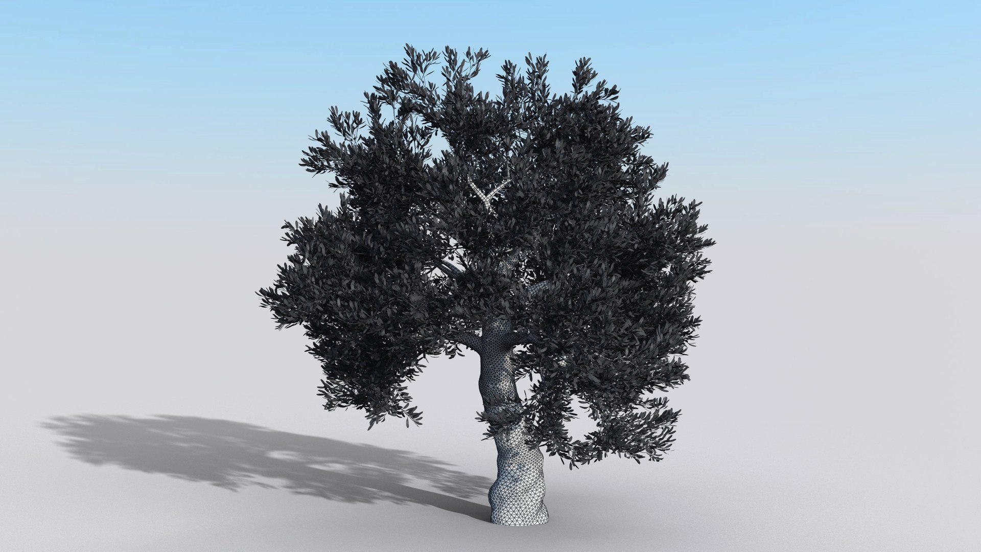 Olive Tree Model - TurboSquid 1531259
