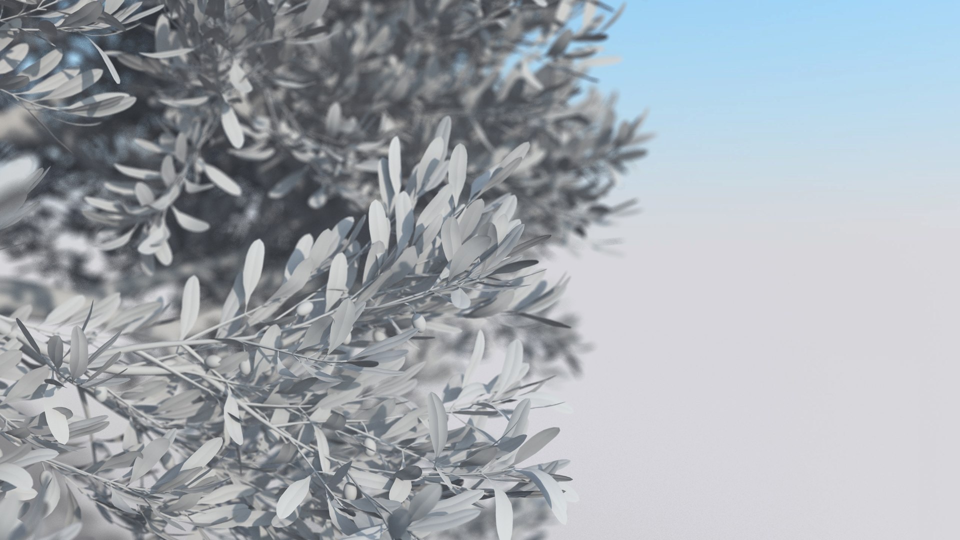 Olive Tree Model - TurboSquid 1531259