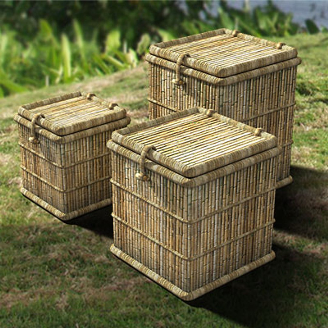 Cane Boxes Container 3d Model