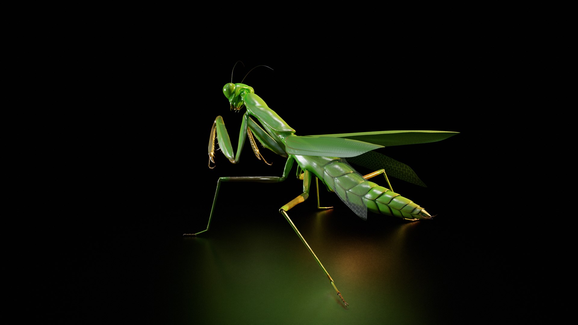 3D Model Praying Mantis Rig PBR - TurboSquid 2458050