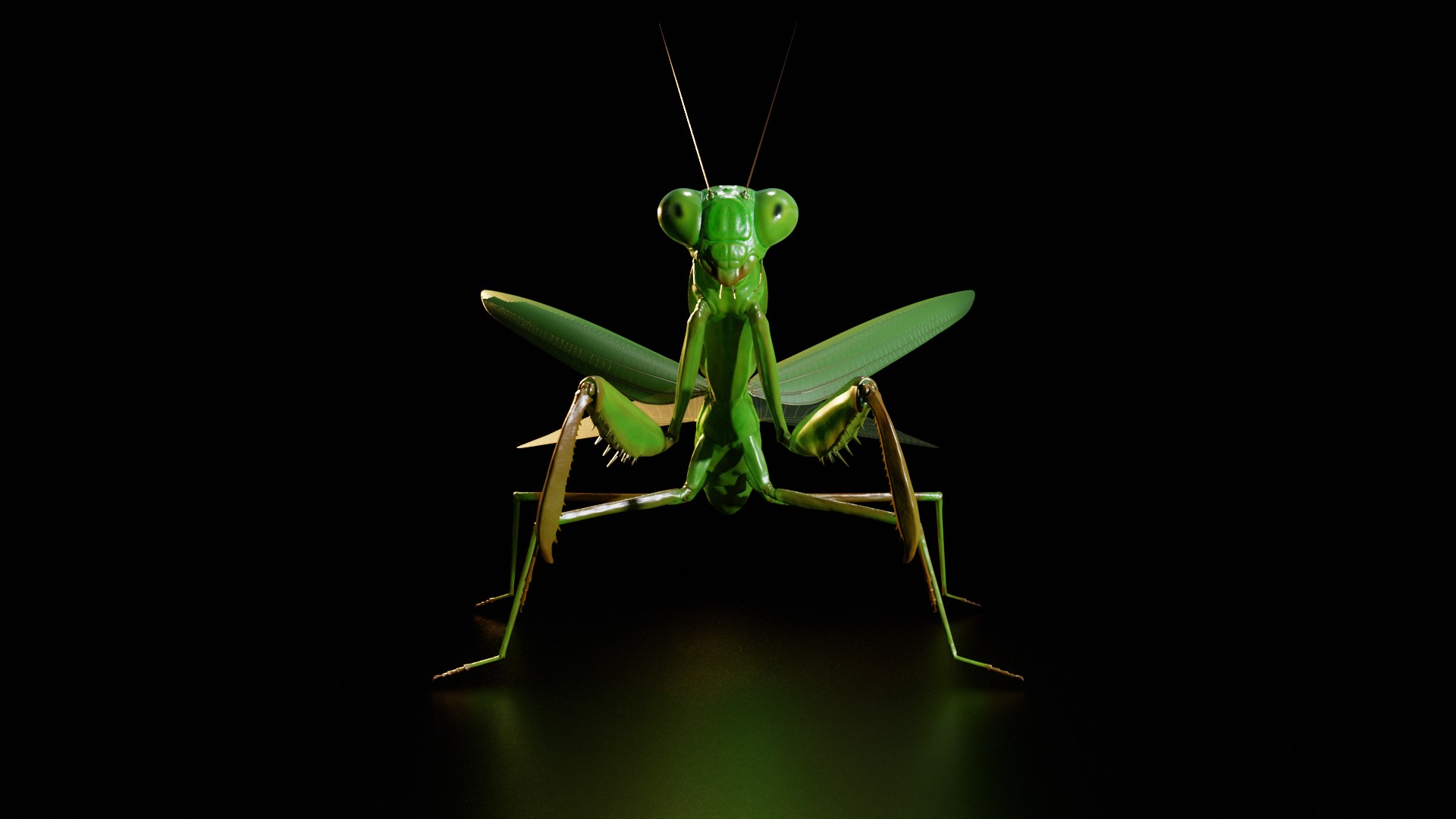 3D Model Praying Mantis Rig PBR - TurboSquid 2458050