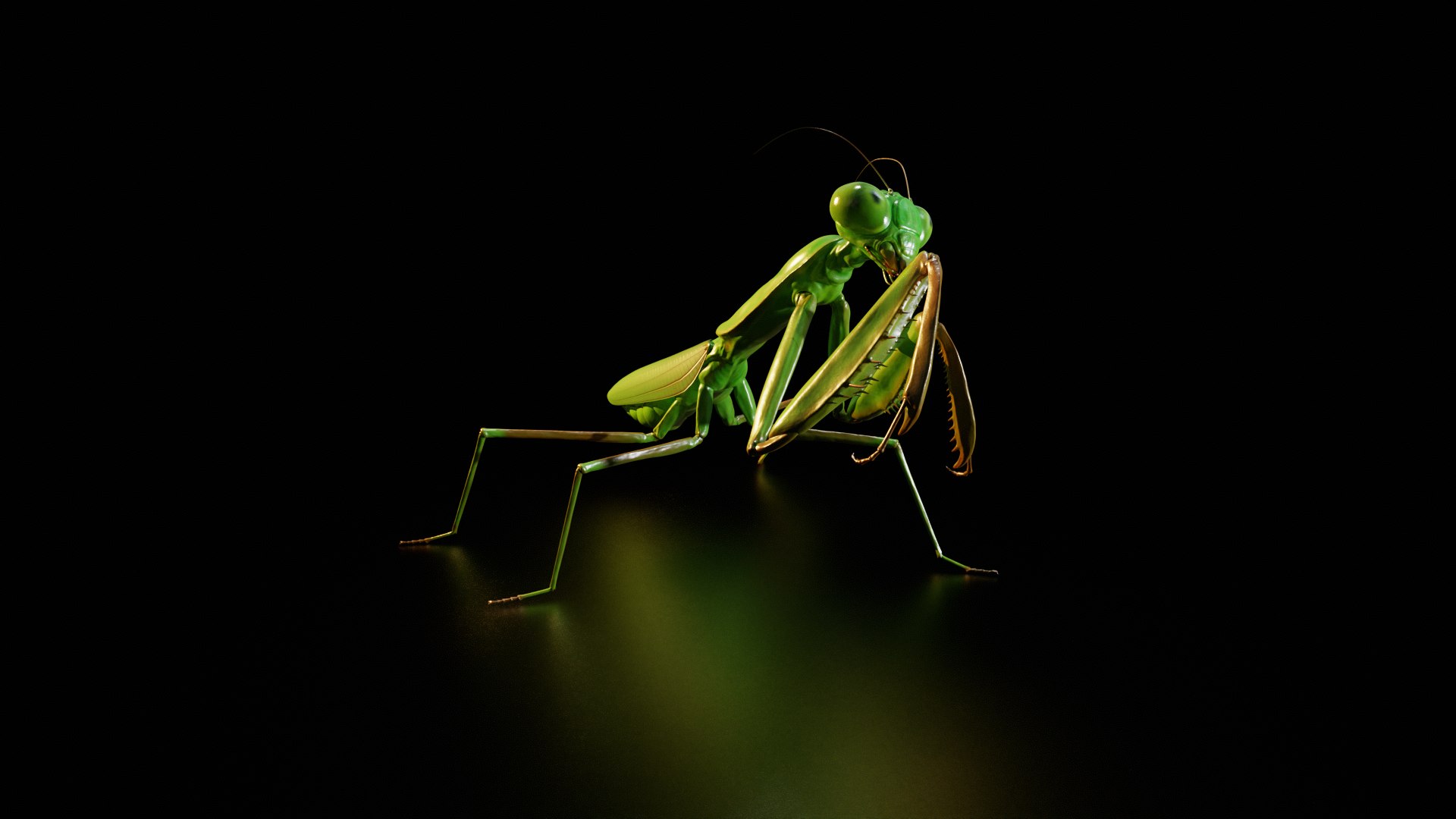 3D Model Praying Mantis Rig PBR - TurboSquid 2458050