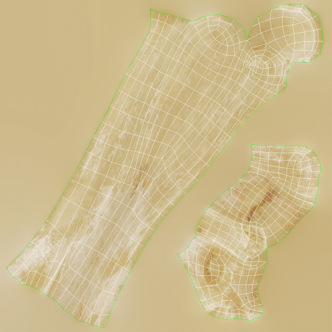 Pavian Monkey Male Humerus Bone 01 3D - TurboSquid 2088629