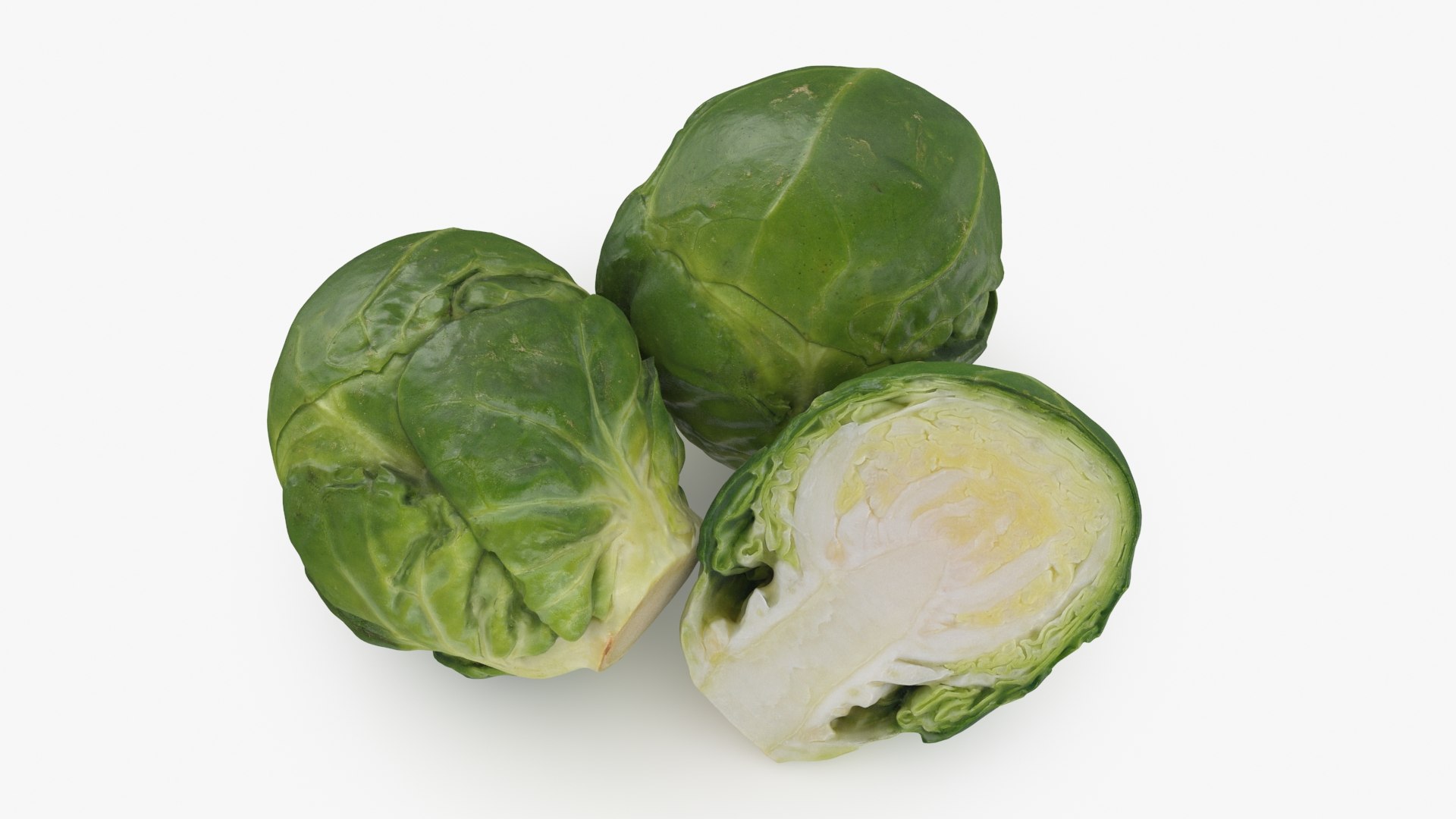 3D Brussels Sprouts 1 - TurboSquid 2333202