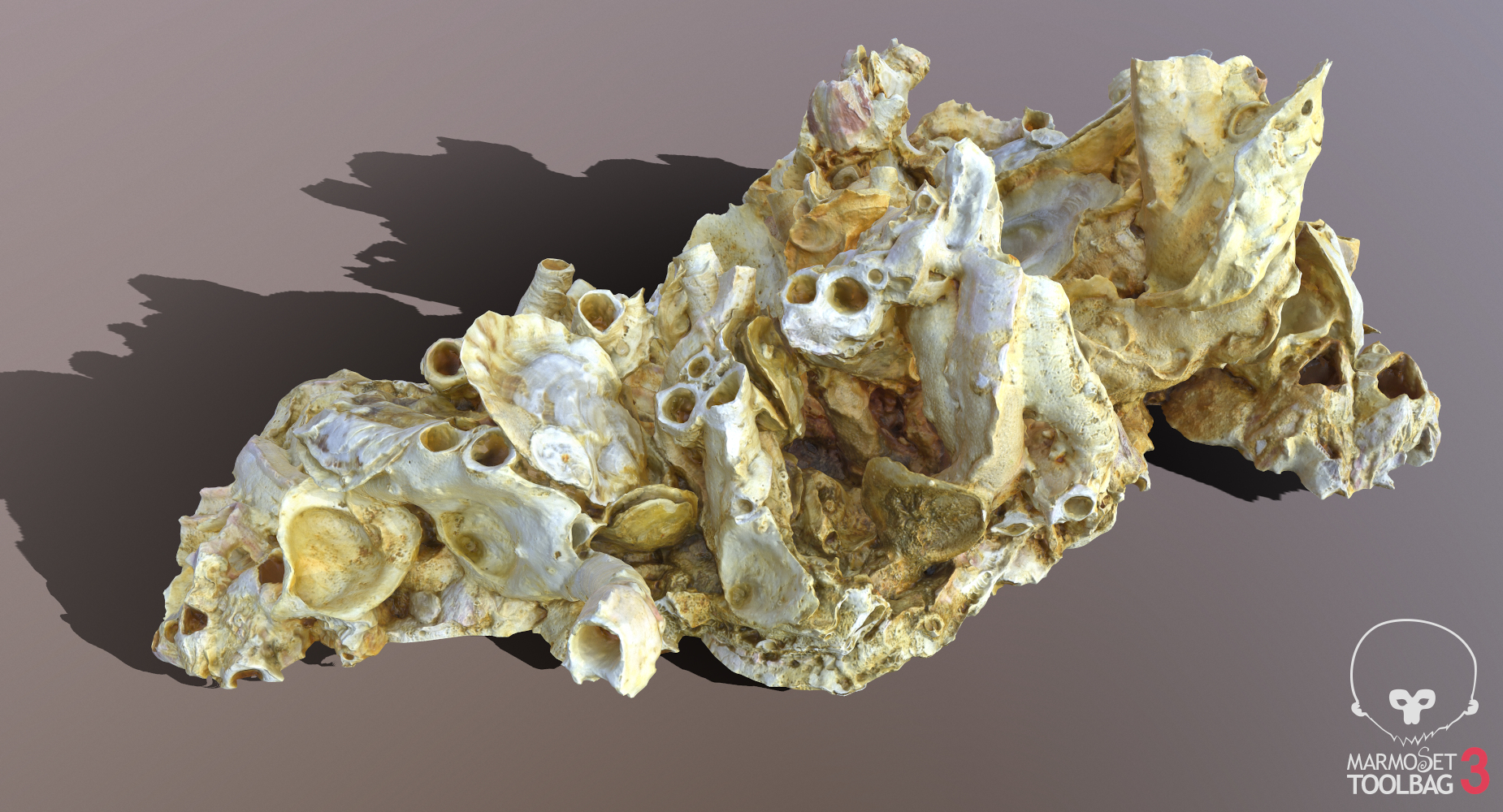 Encrusted reef rock 3D model - TurboSquid 1402819