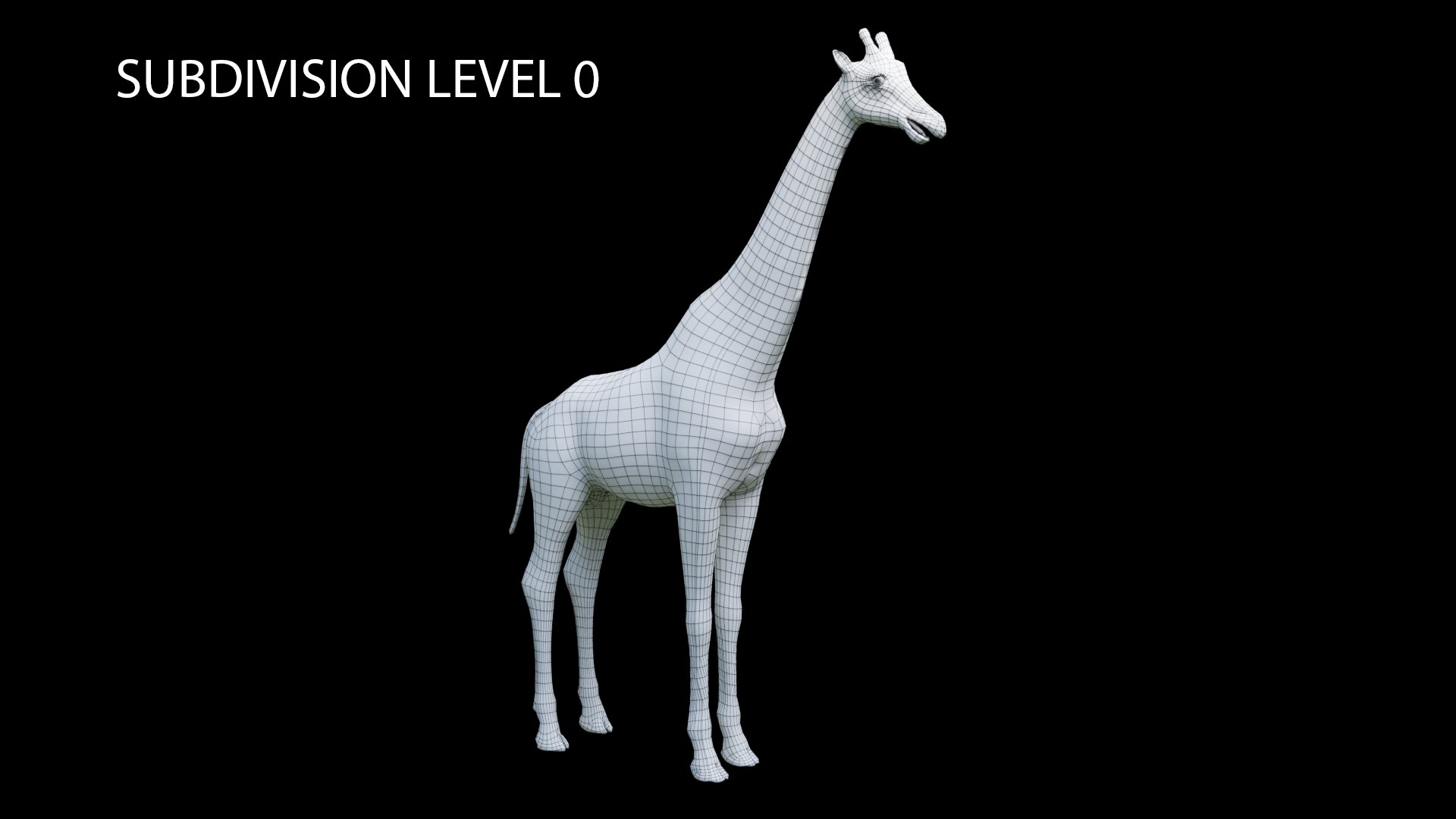 Animal mammals giraffe model - TurboSquid 1671210