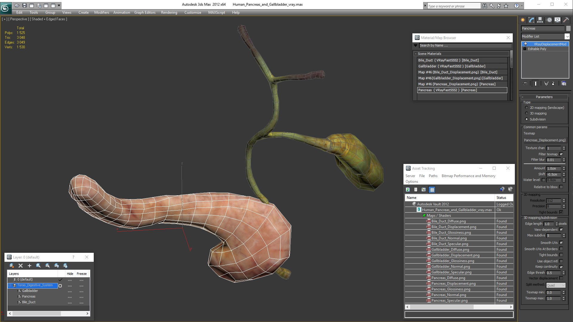 Human pancreas gallbladder gall 3D model - TurboSquid 1469286