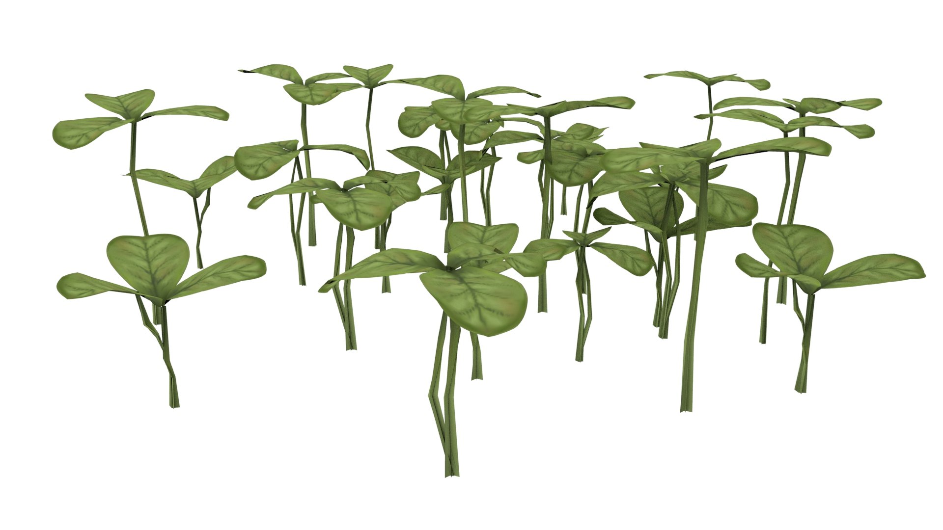 3D Clovers - TurboSquid 1879540