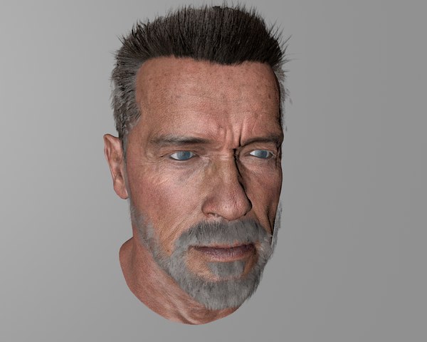 Free 3D Arnold Models | TurboSquid