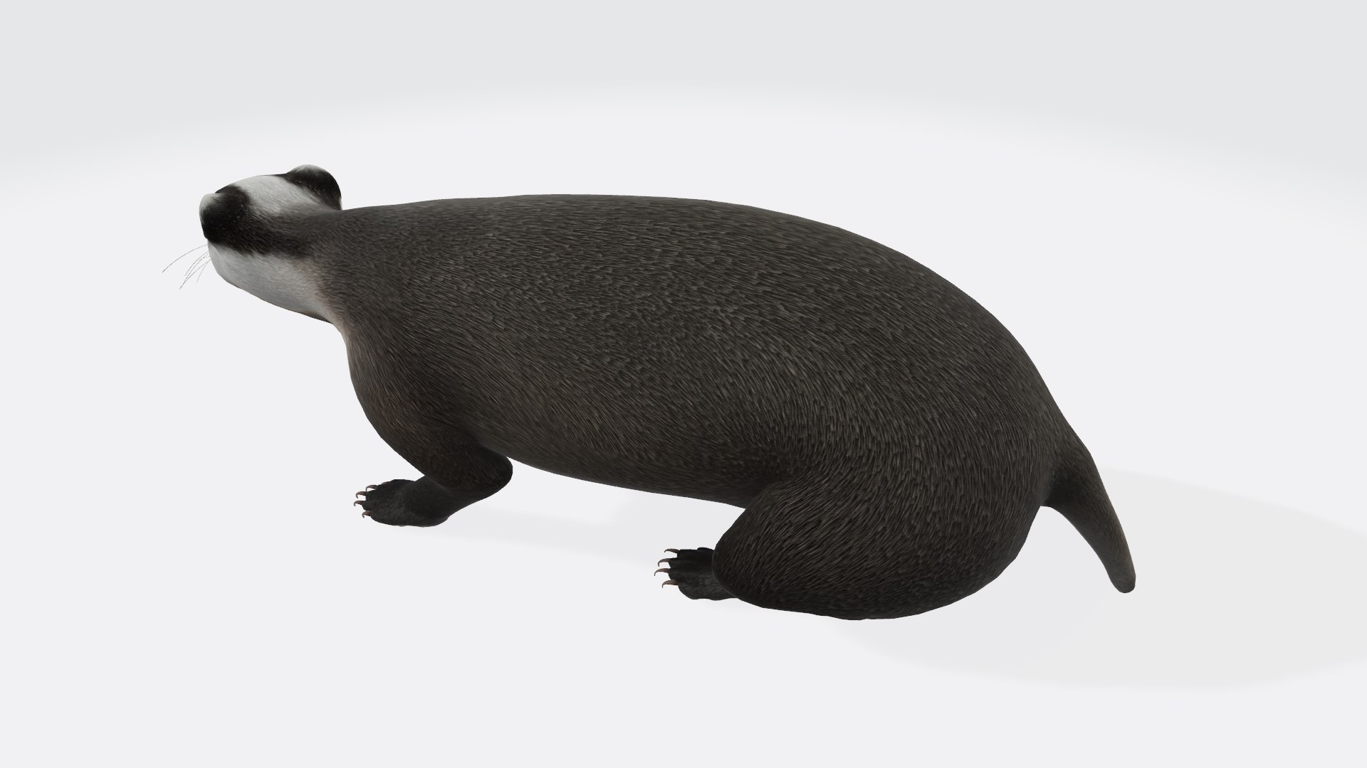 Honey Badger Animal Sculpture 3D Model Ready To Print Model ...