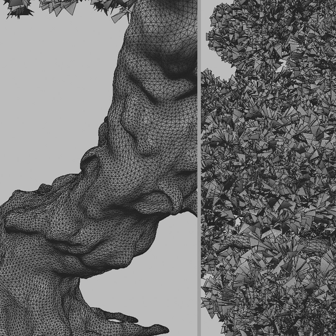 Set Of Japanese White Pine Or Pinus Parviflora Tree 3D Model ...