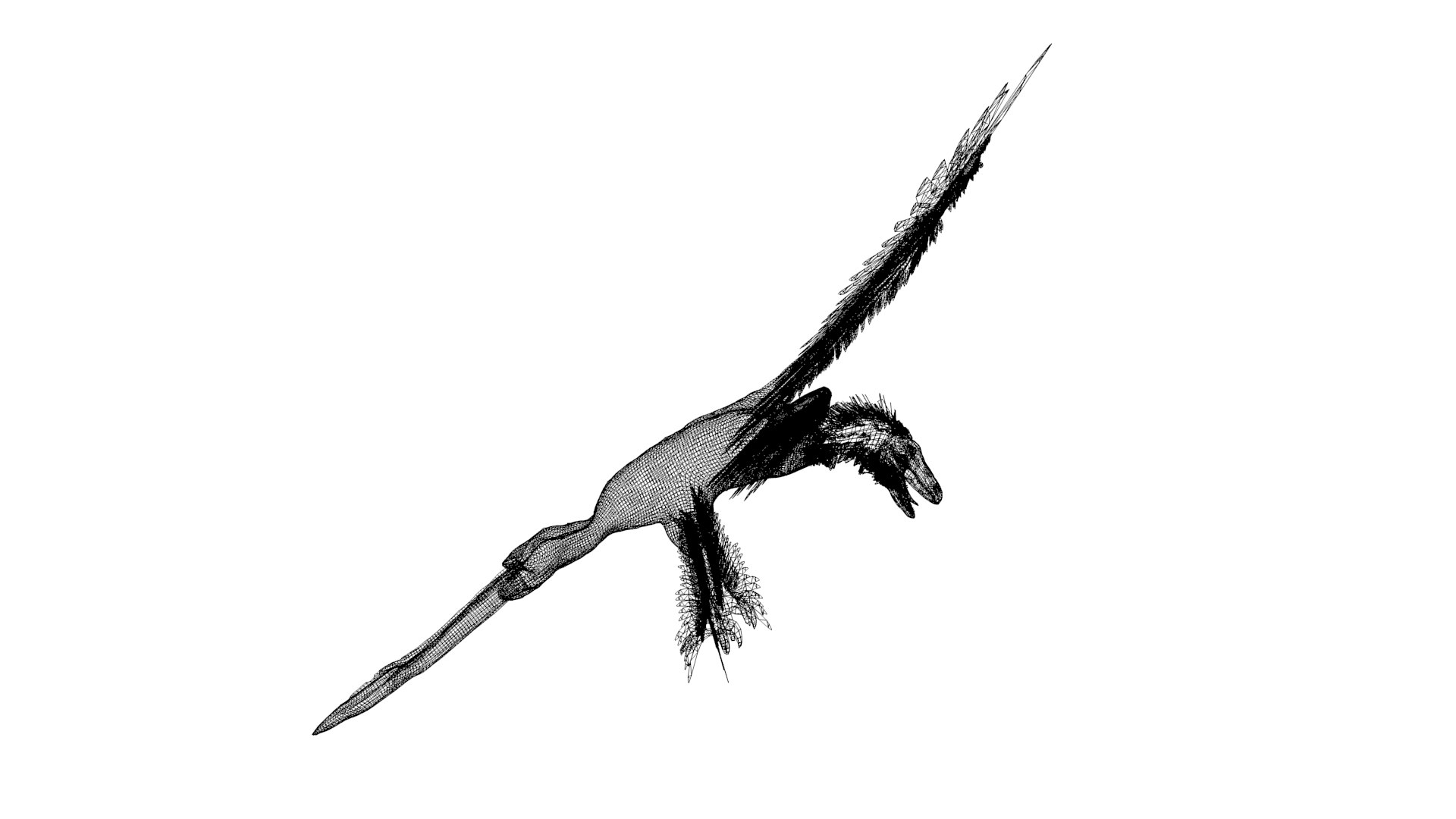 3D Microraptor - TurboSquid 1979198