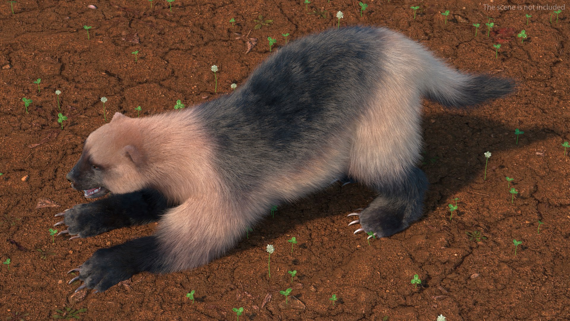 3D Wolverine Prepares Attack Pose Fur model - TurboSquid 2157043