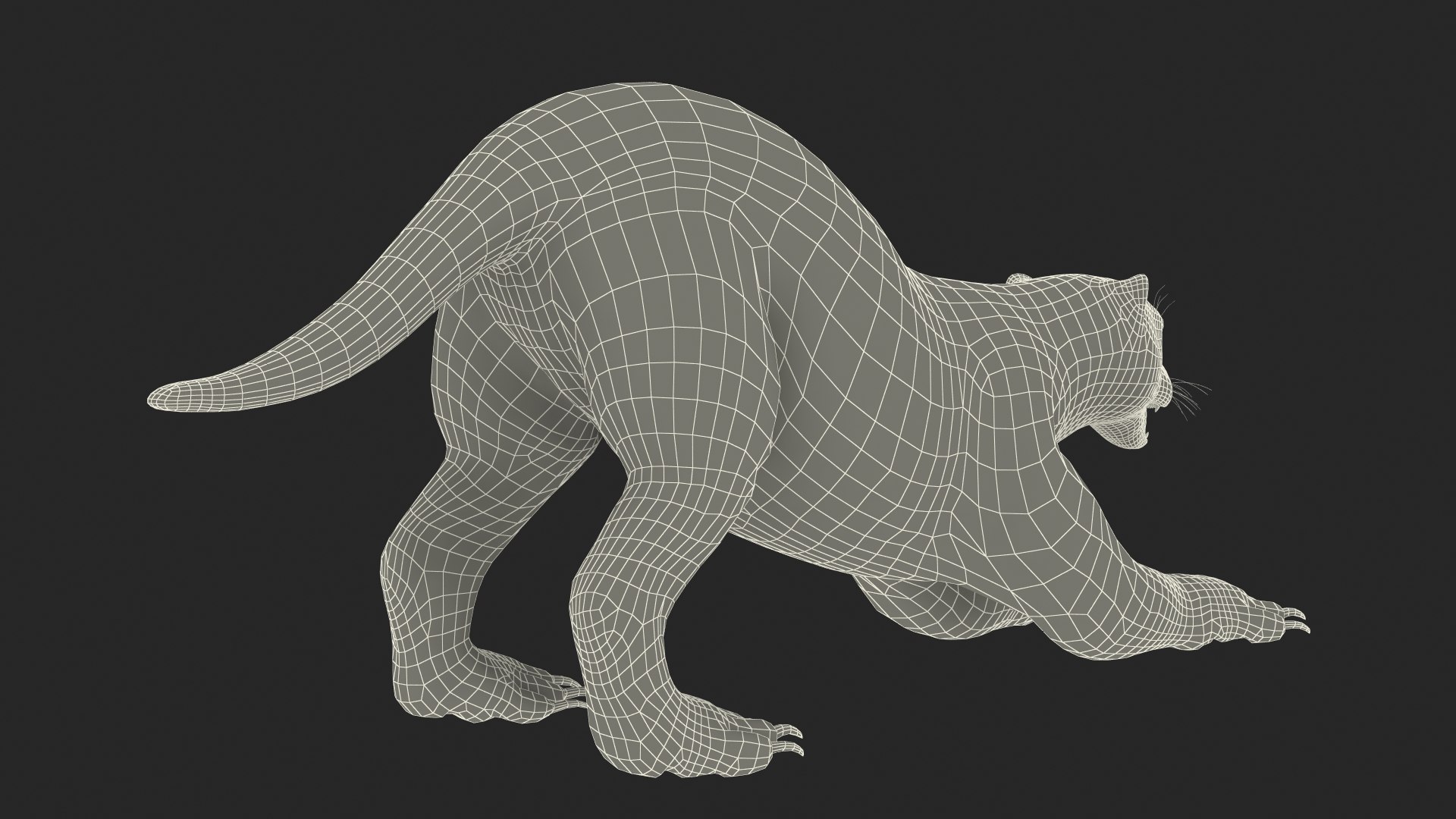 3D Wolverine Prepares Attack Pose Fur model - TurboSquid 2157043