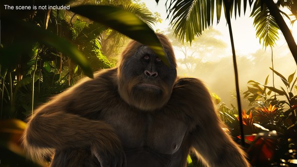 modelo 3d Gigantopithecus en pose sentada Piel - TurboSquid 2312393