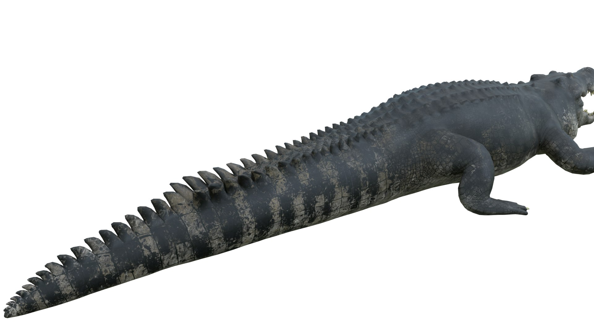 3D Low Poly Crocodile Model - TurboSquid 2283412