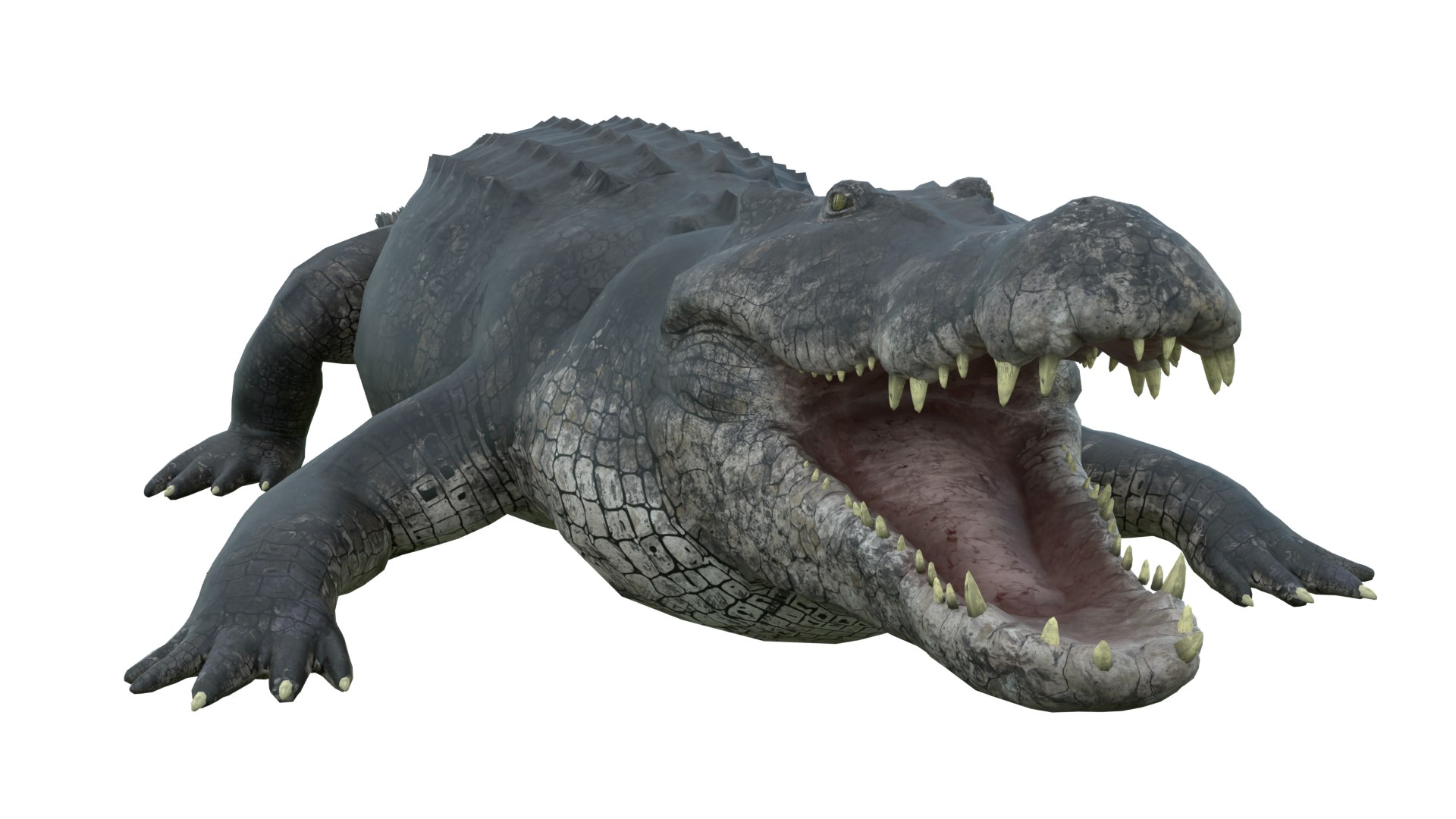 3D Low Poly Crocodile Model - TurboSquid 2283412
