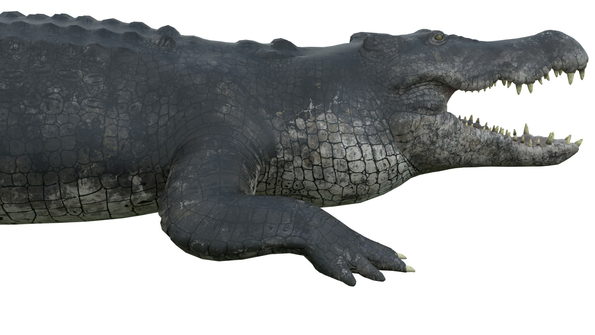 3D Low Poly Crocodile Model - TurboSquid 2283412