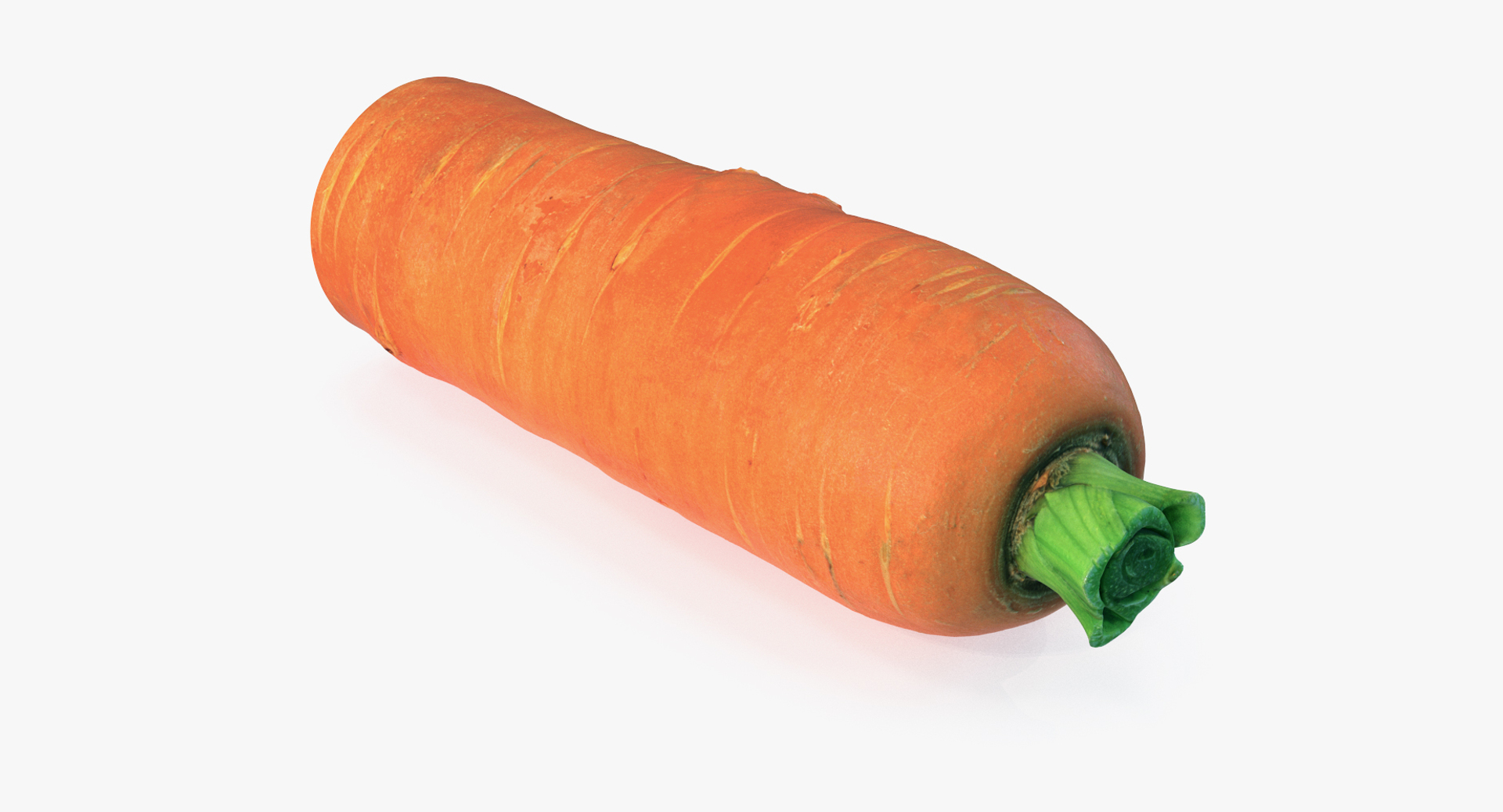Half Carrot 3D Model - TurboSquid 1216879