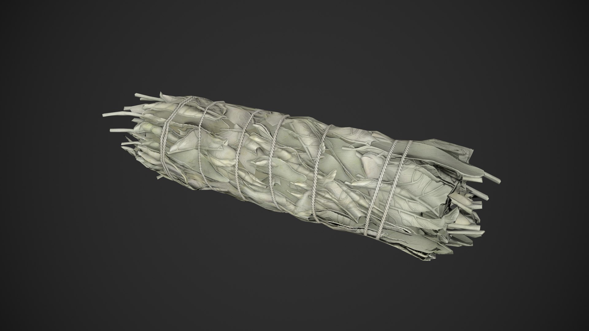 3D Sage Bundle Model - TurboSquid 2062531
