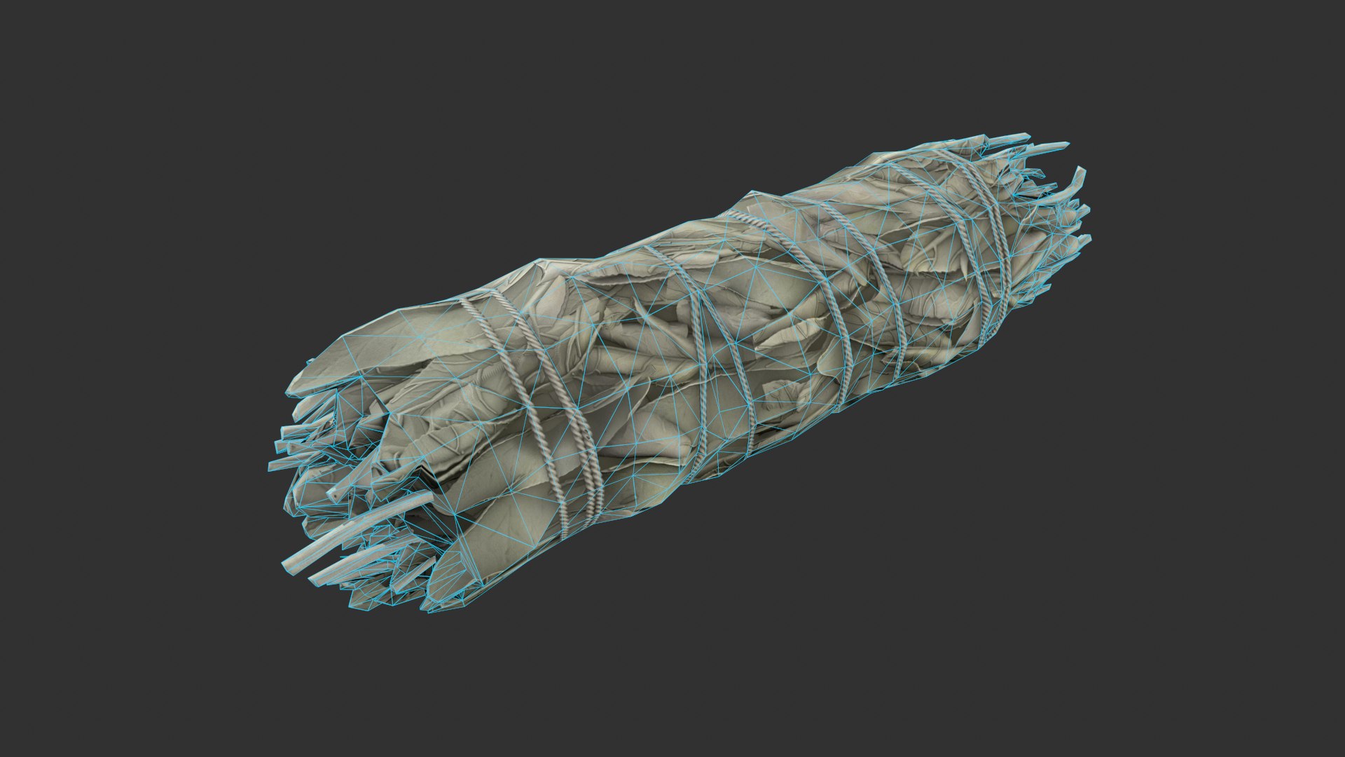 3D Sage Bundle Model - TurboSquid 2062531
