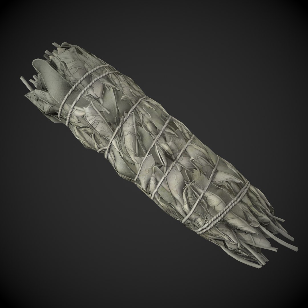 3D Sage Bundle Model - TurboSquid 2062531