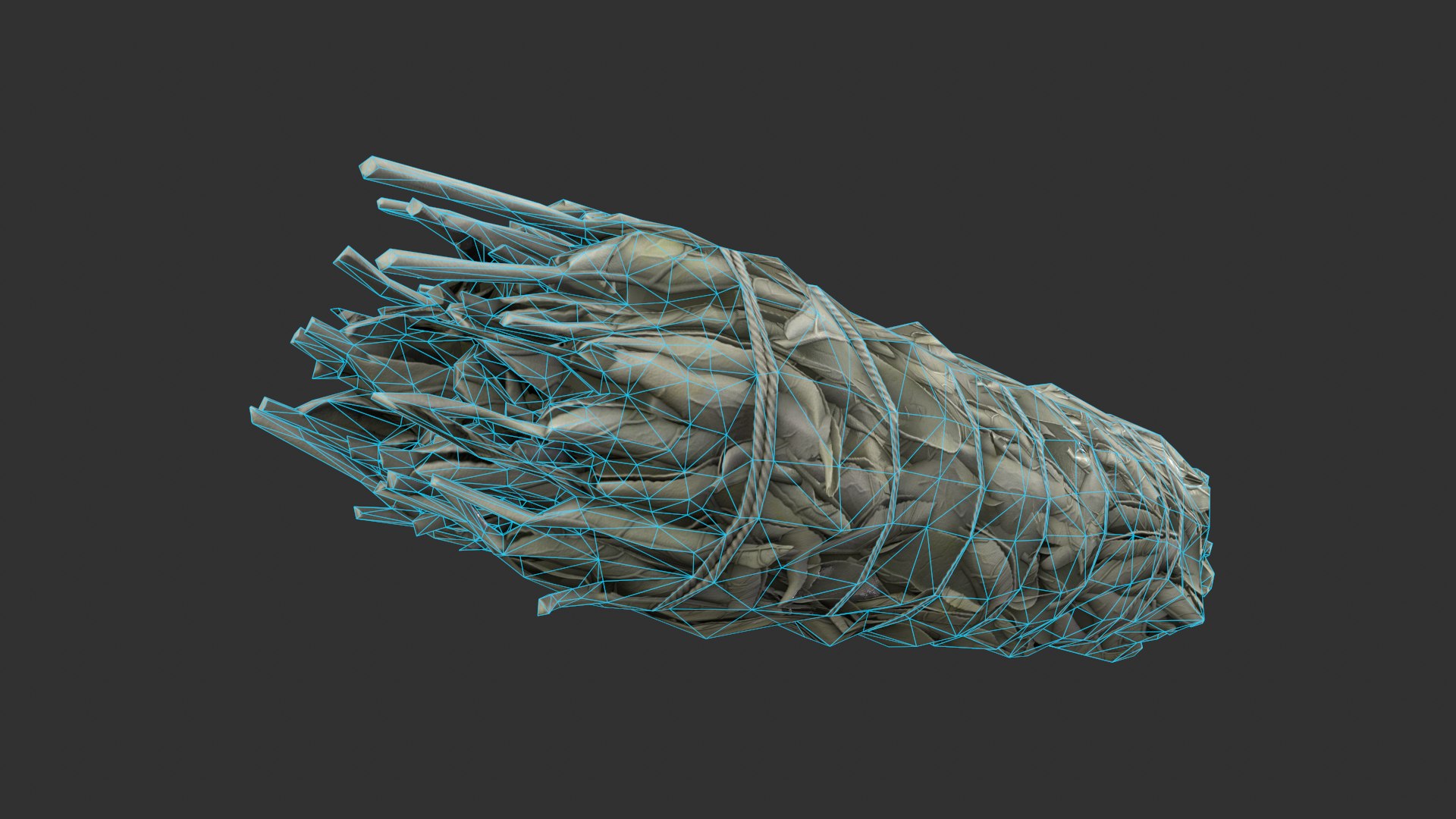 3D Sage Bundle Model - TurboSquid 2062531