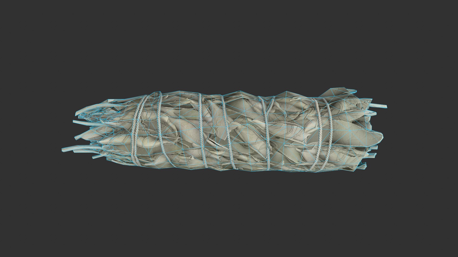 3D Sage Bundle Model - TurboSquid 2062531