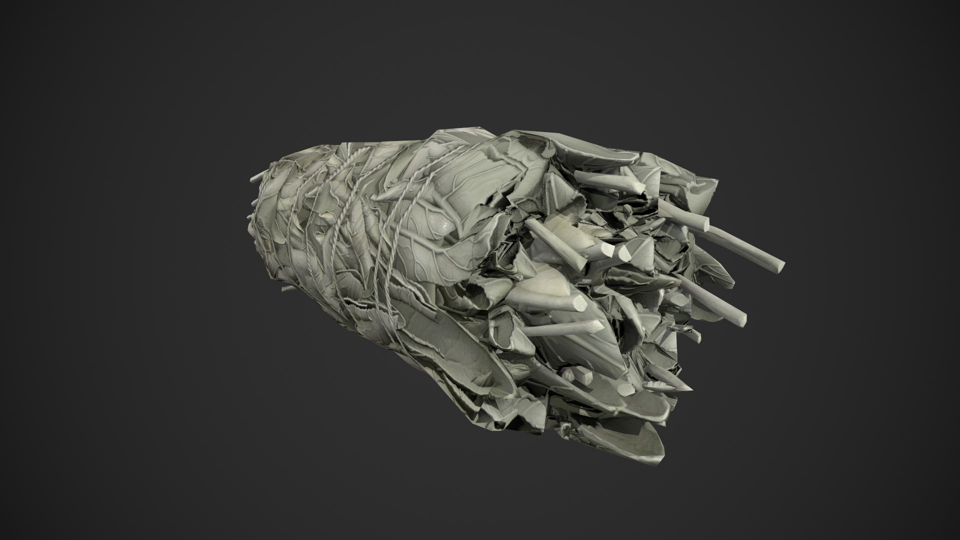 3D Sage Bundle Model - TurboSquid 2062531