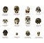 3D Skulls Homo Erectus Peking - TurboSquid 1331631