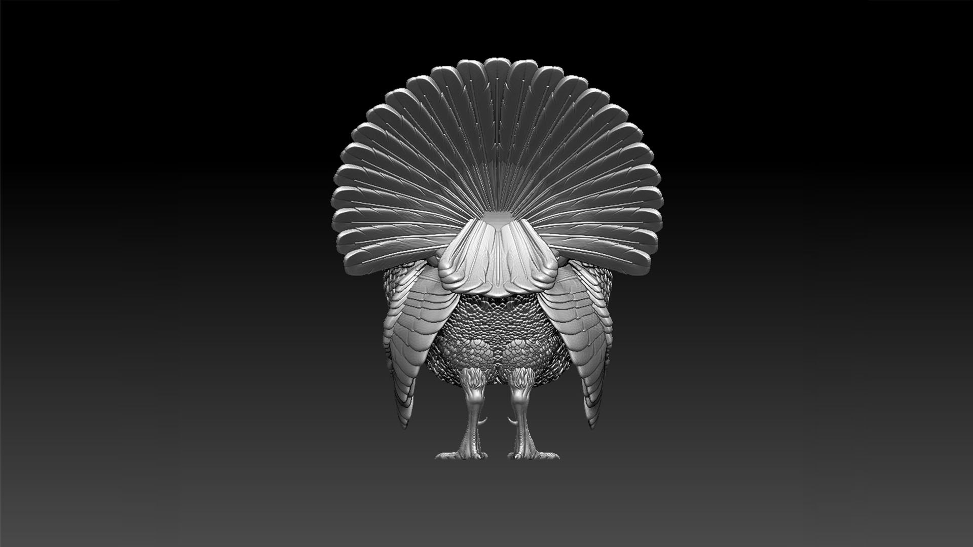 3D Turkey Model - TurboSquid 1957379