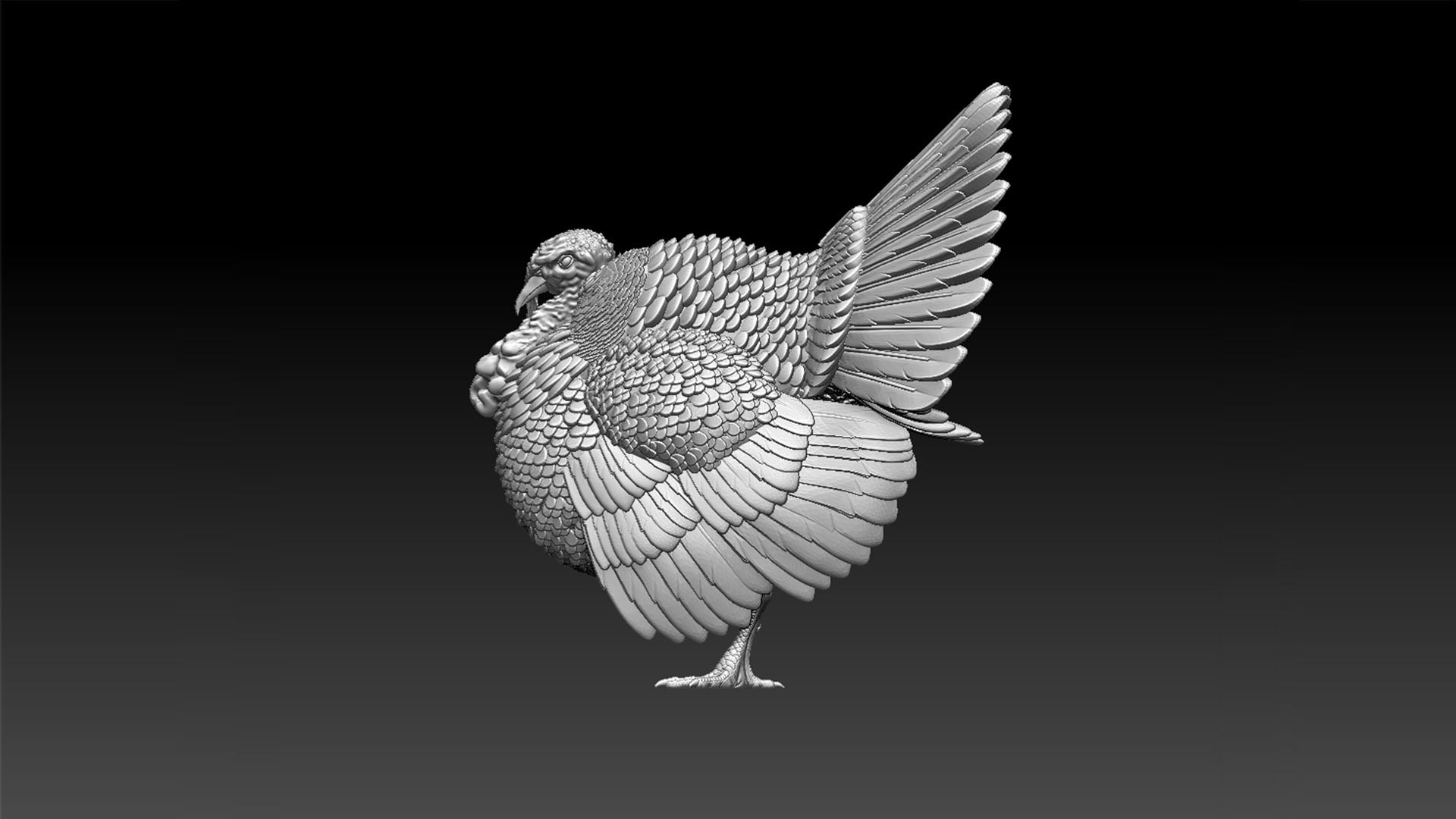 3D Turkey Model - TurboSquid 1957379