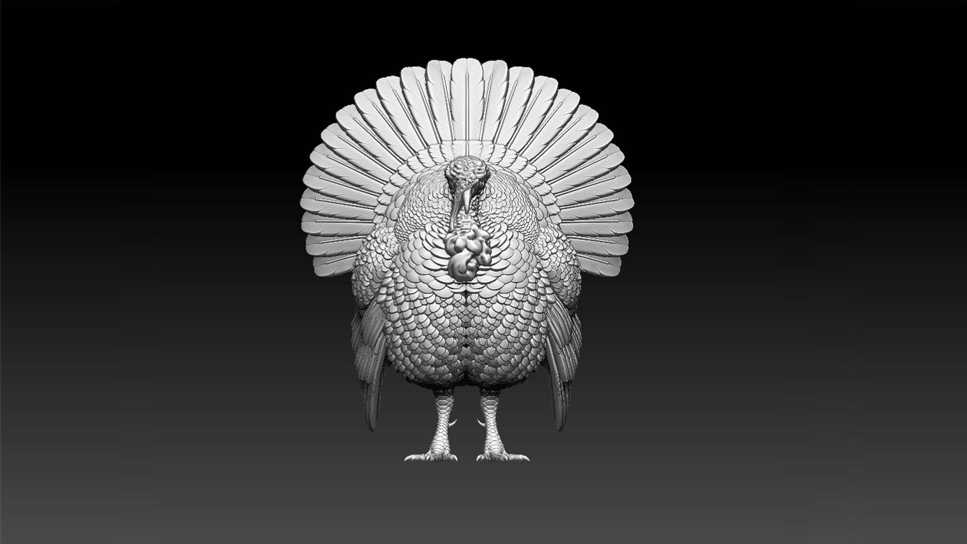 3D Turkey Model - TurboSquid 1957379