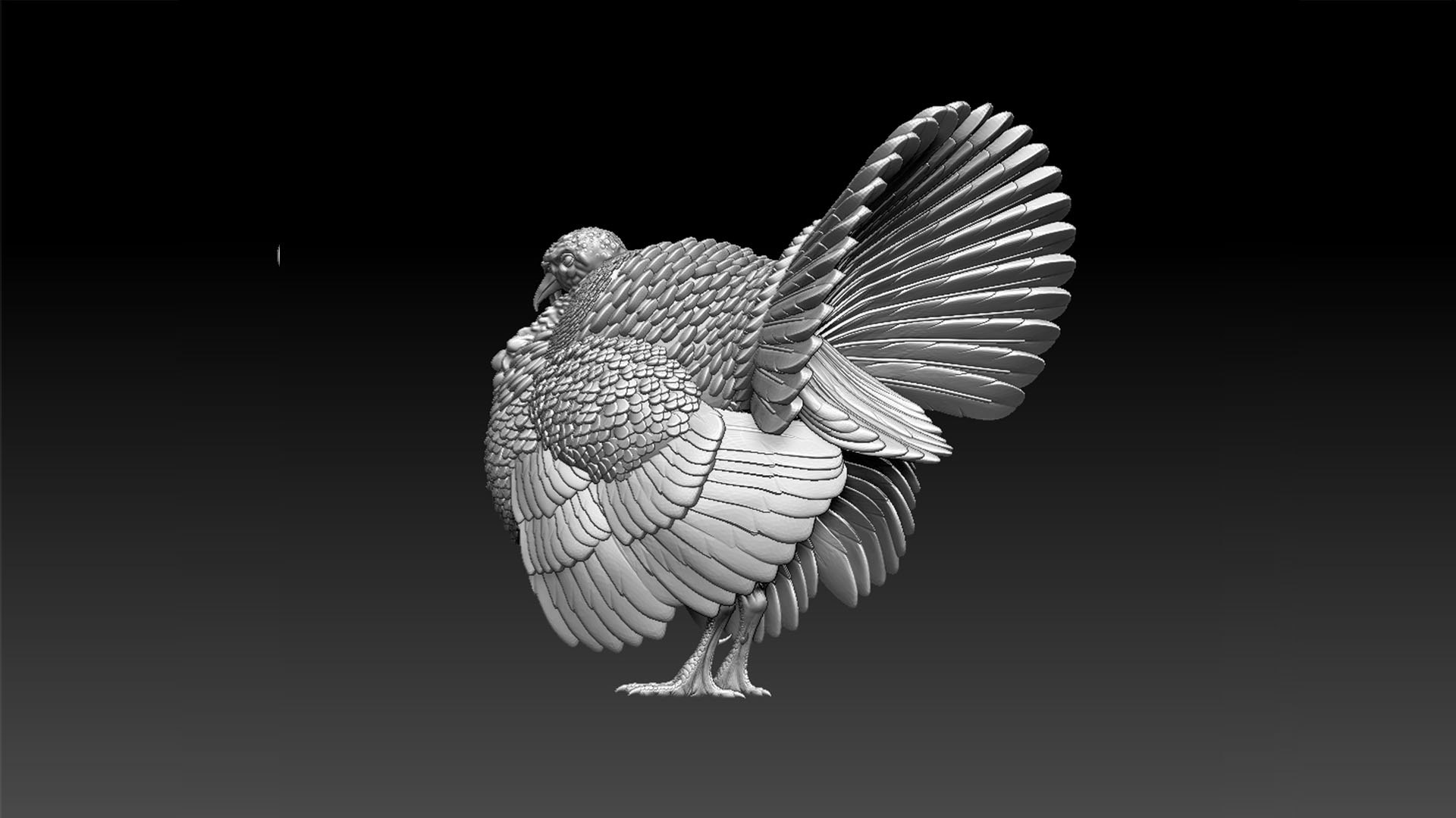 3D Turkey Model - TurboSquid 1957379