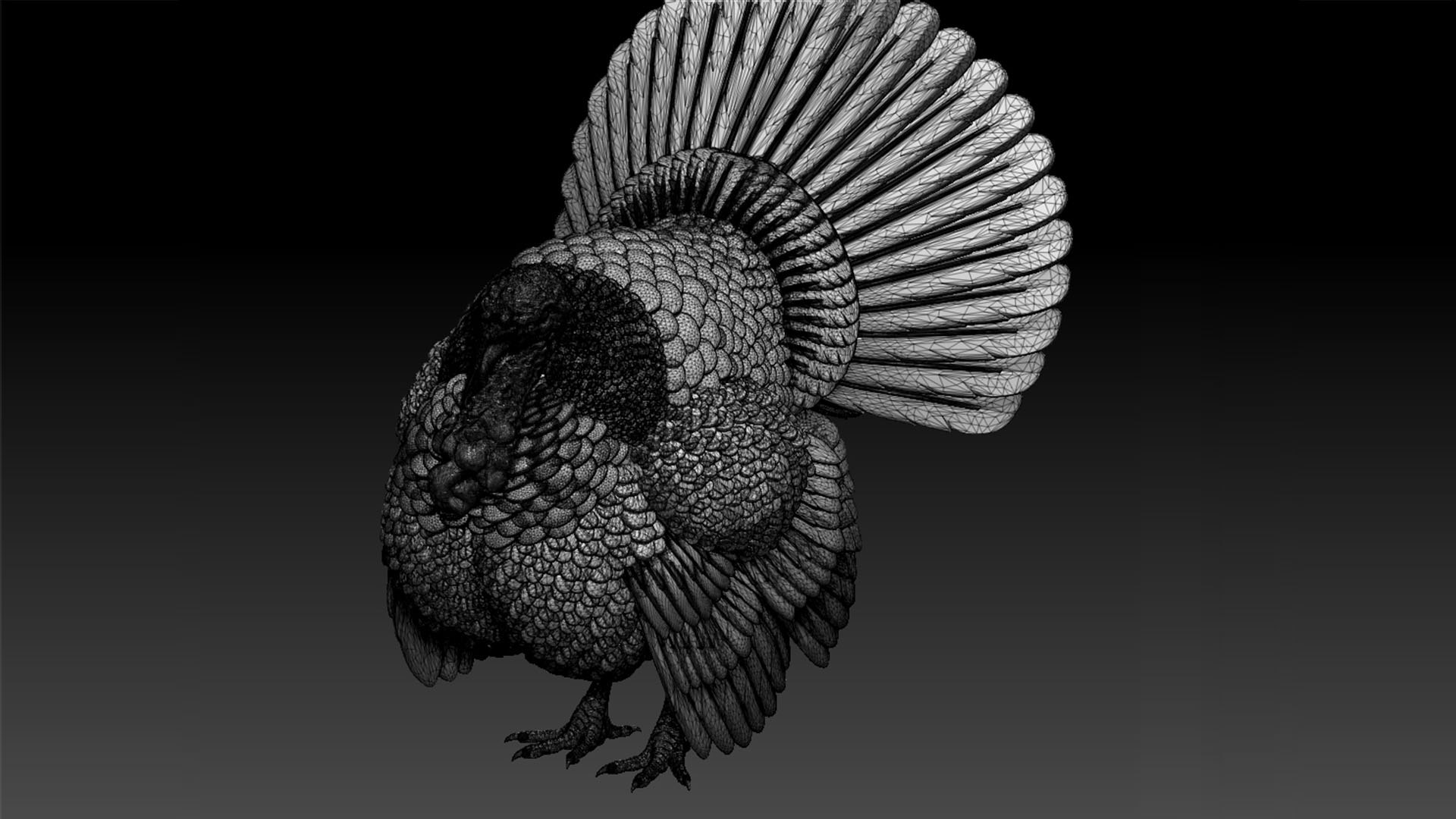 3D Turkey Model - TurboSquid 1957379