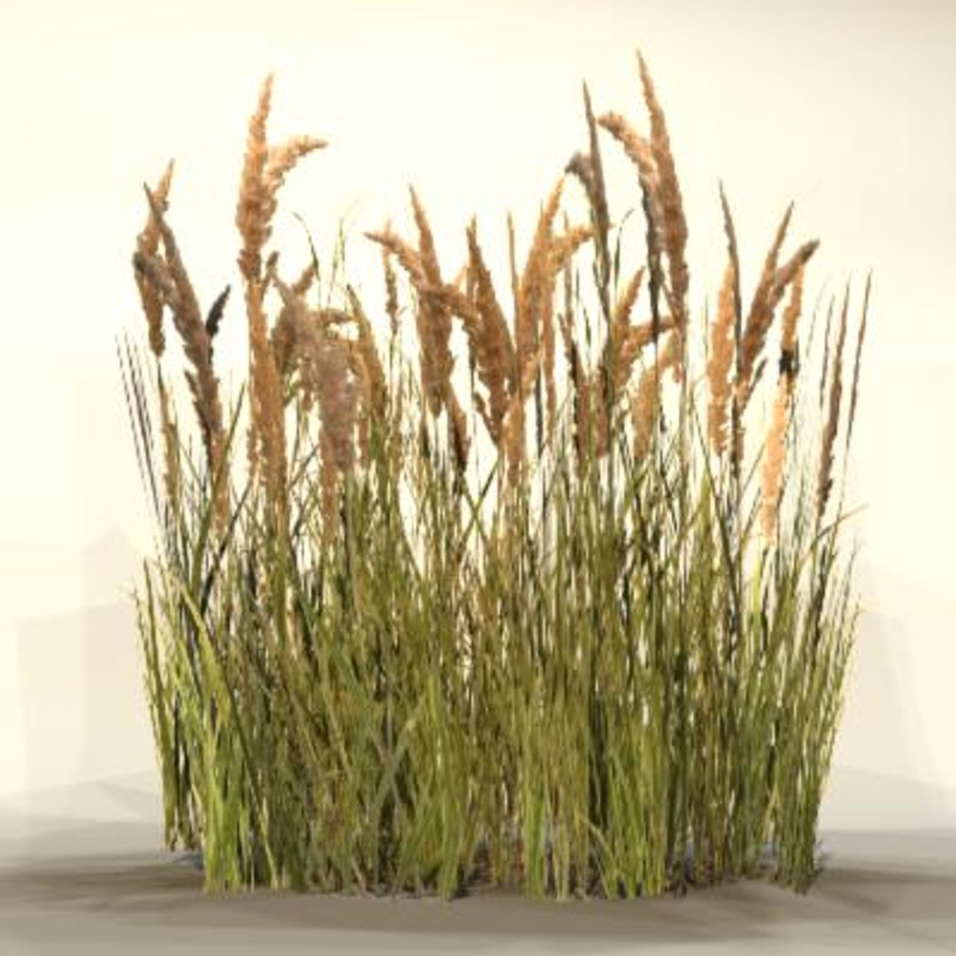 Pc Grass 3d Model