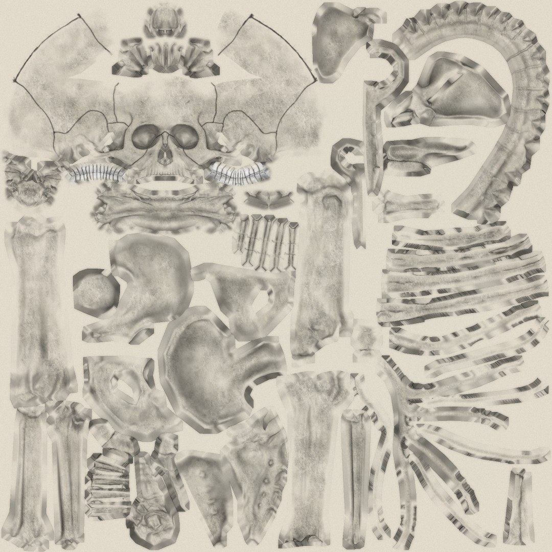 3d Human Skeleton Model