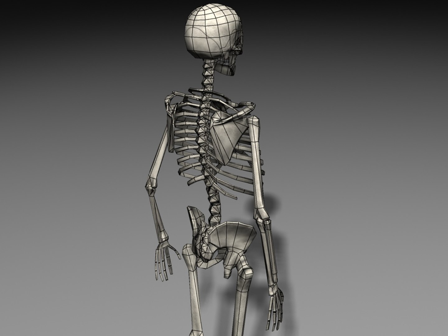 3d Human Skeleton Model