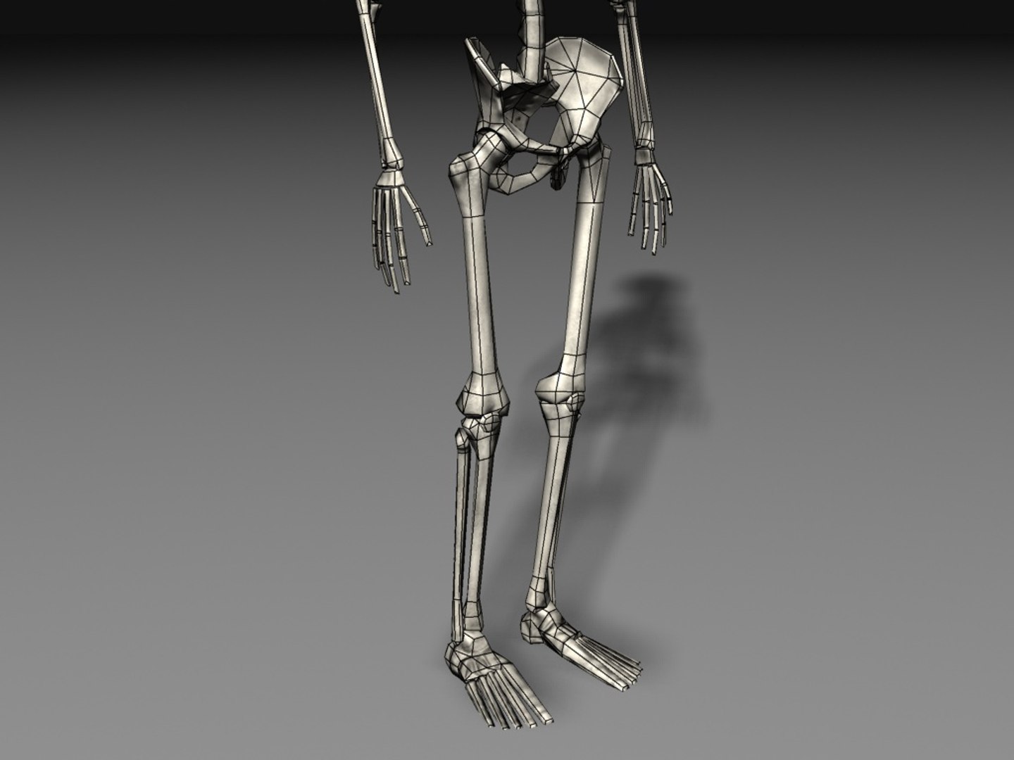 3d Human Skeleton Model