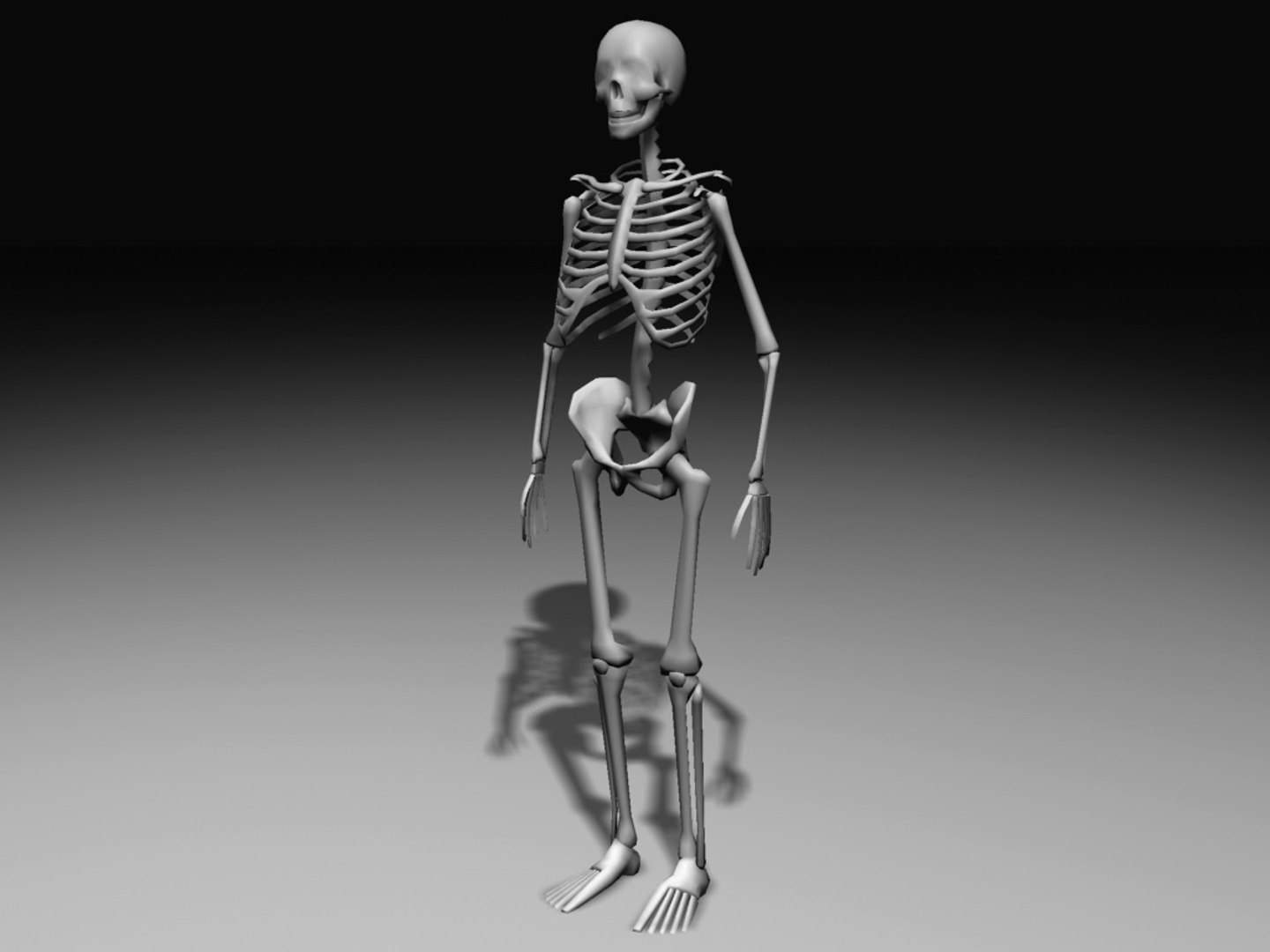 3d Human Skeleton Model