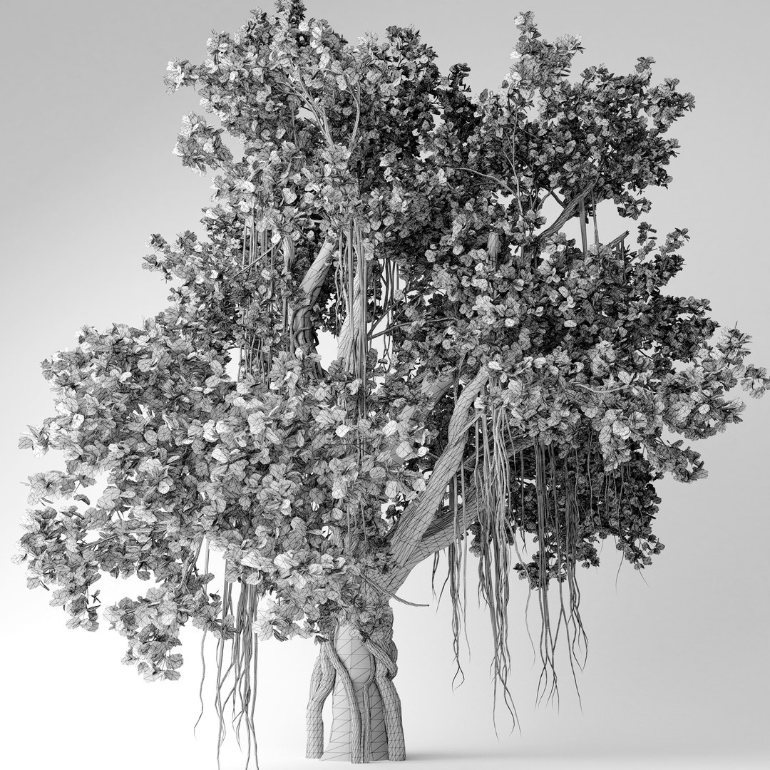 3D Chinese Banyan Tree Model - TurboSquid 1519868