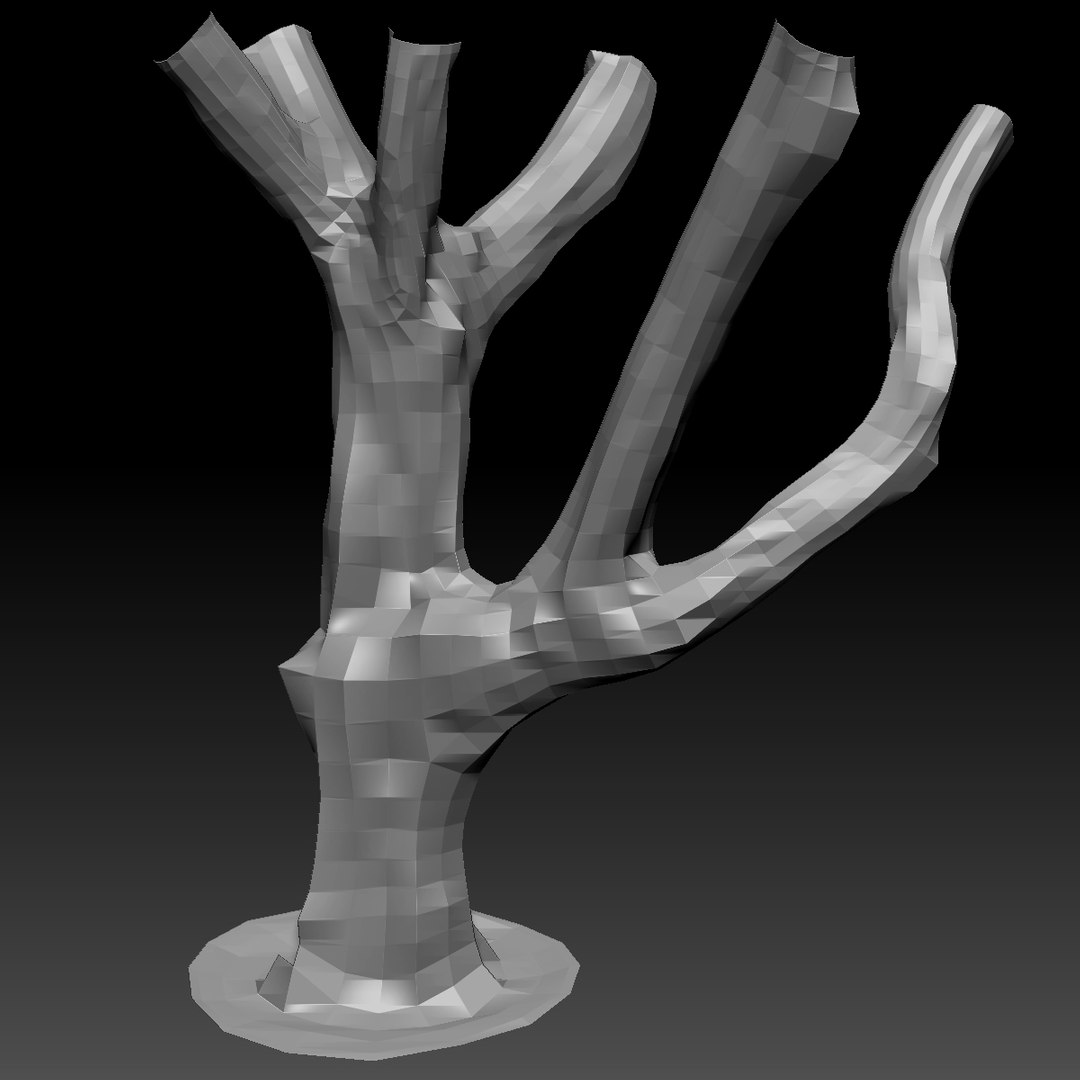 Jacaranda Tree 3d Model