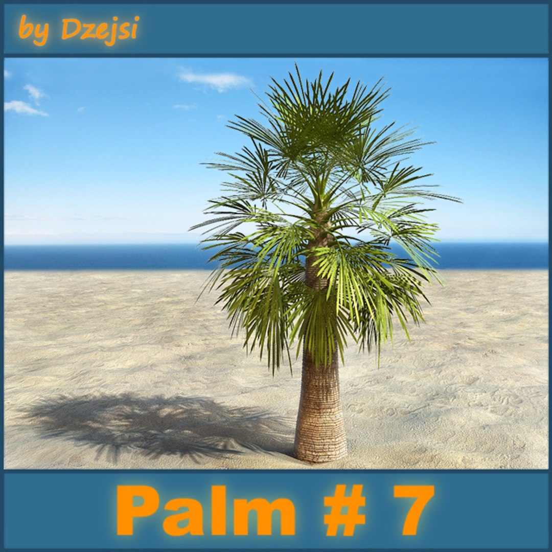 3d model palm tree